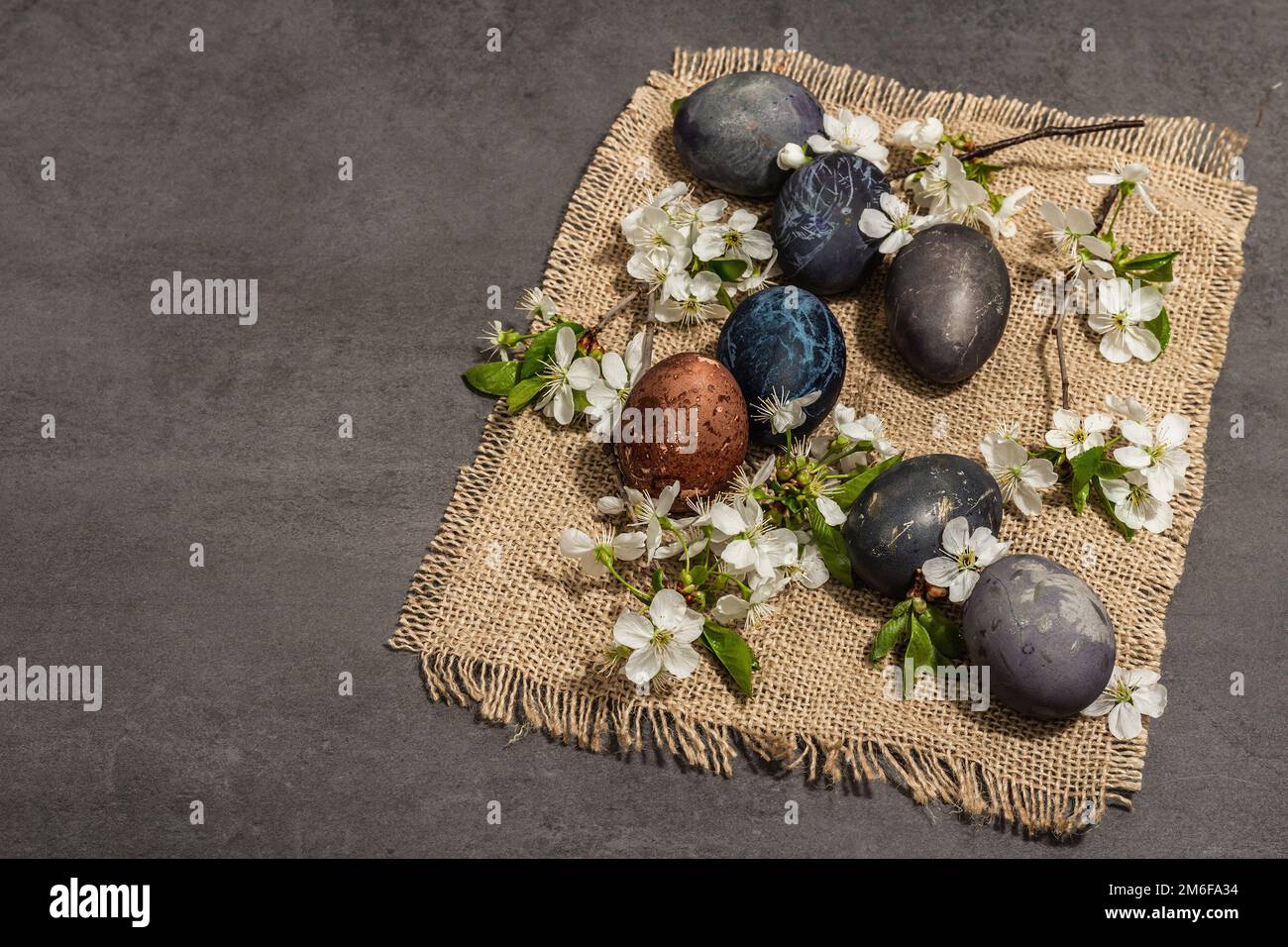 Easter eggs and blooming cherry on stone concrete background. Festive ...