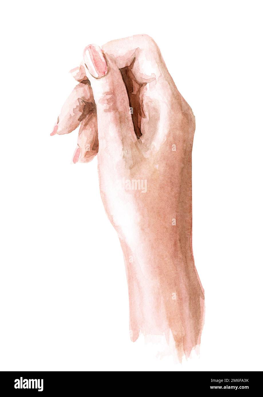 Woman hand. Hand drawn watercolor illustration isolated on white ...