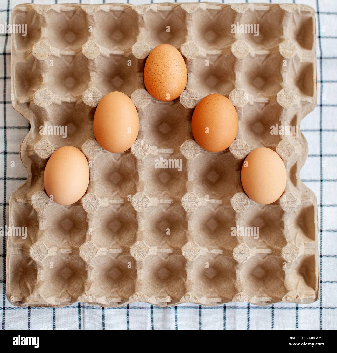 A few brown eggs among the empty cells of a large cardboard bag Stock ...