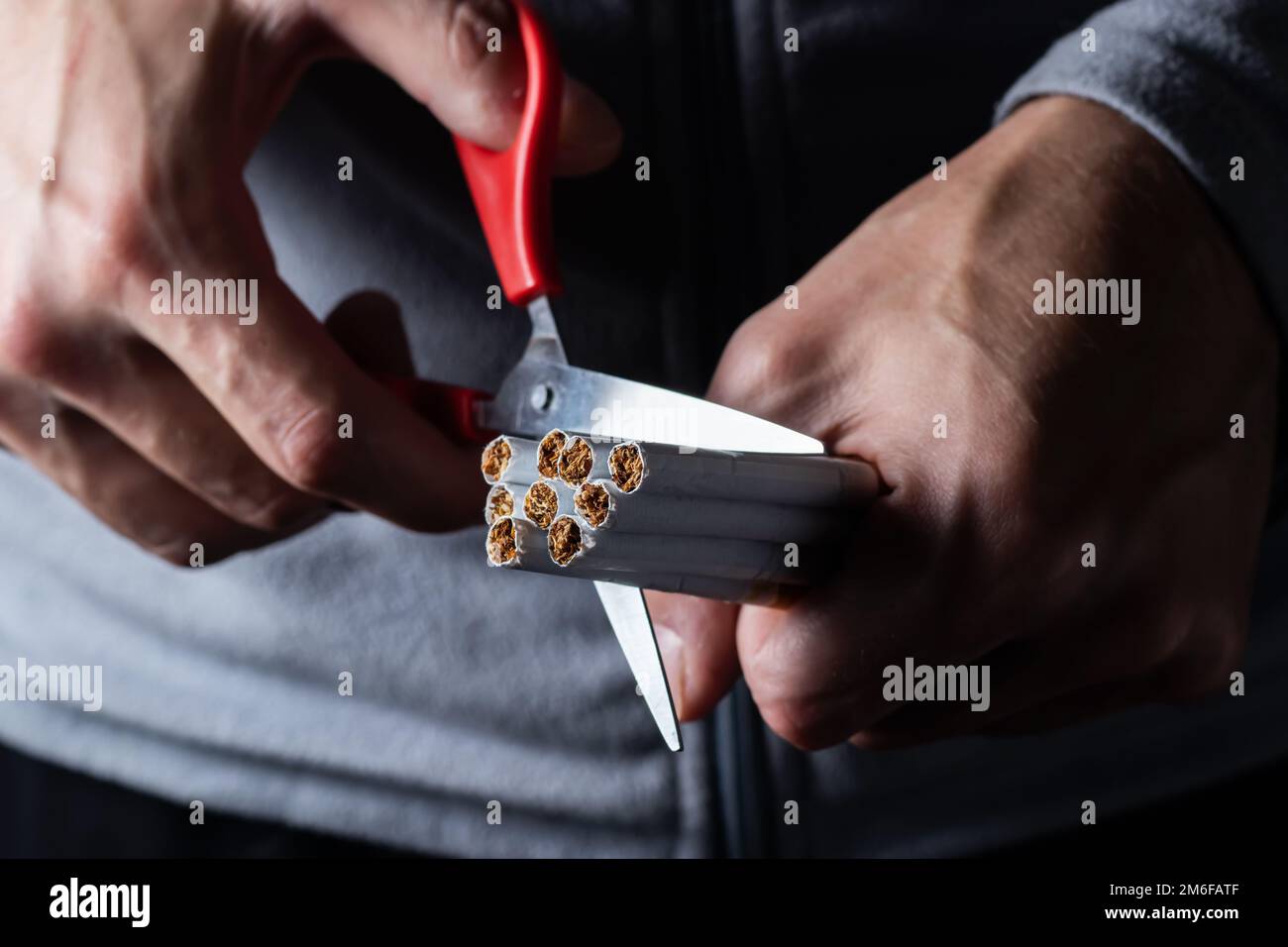 Stop smoking concept - close up of scissors cutting many cigarettes ...
