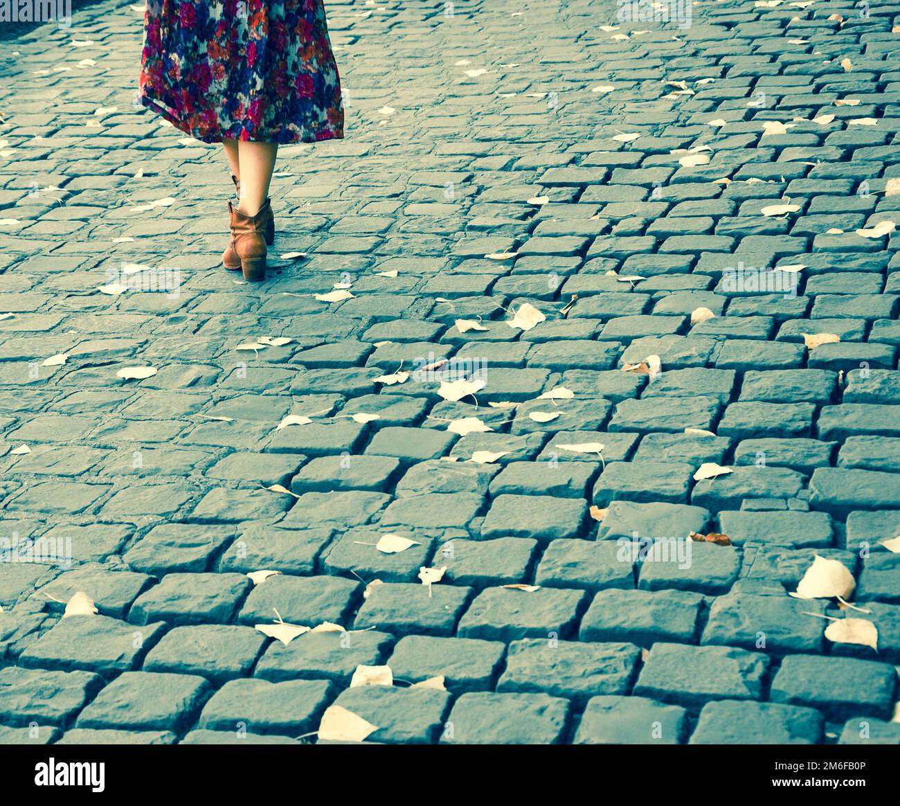 Closeup of young woman legs on Parisian cobblestone street covered with ...