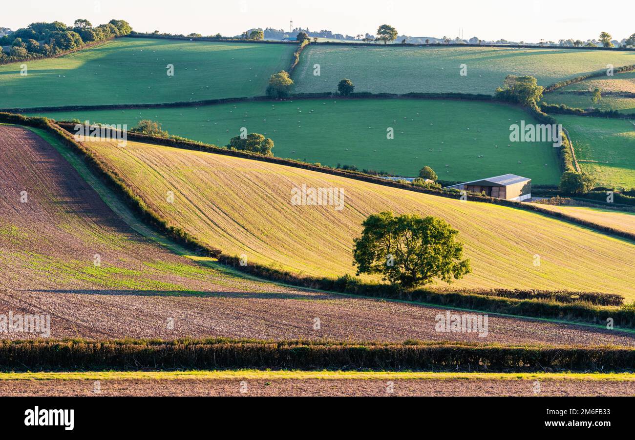 Fields and Farms over Devon, England, Europe Stock Photo - Alamy
