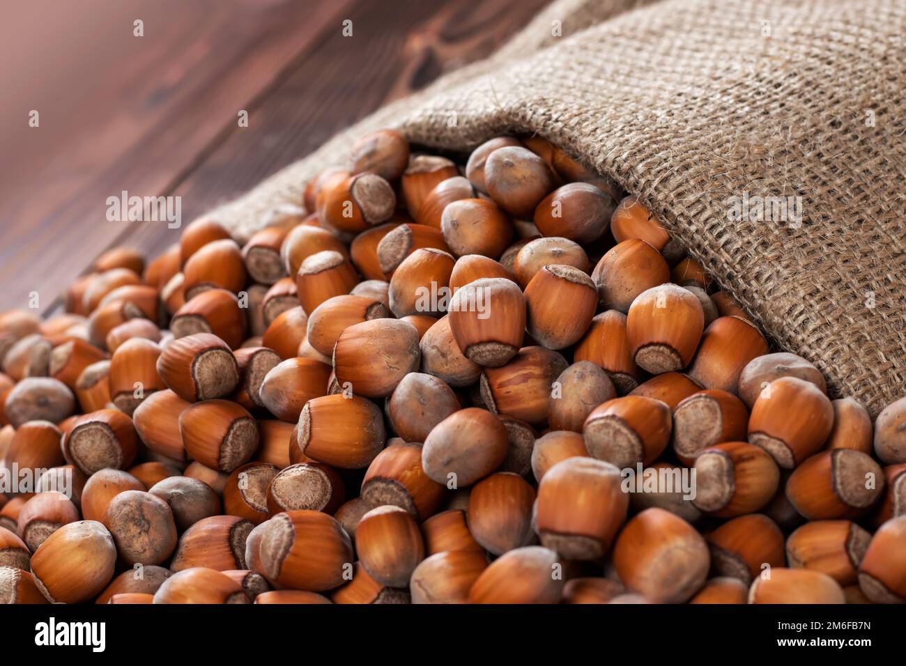 Hazelnuts, filbert on old wooden table. heap or stack of hazel nuts ...