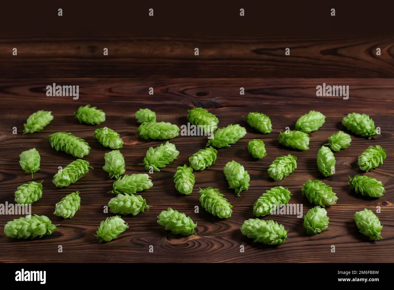 Beer hops pattern hi-res stock photography and images - Alamy
