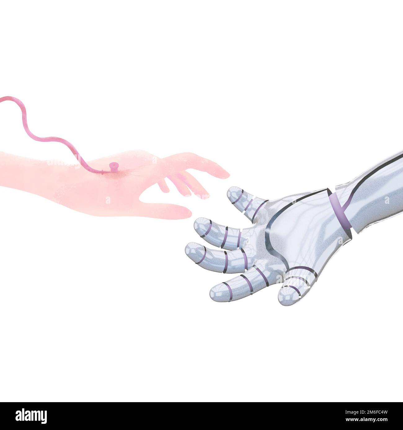 Female reproductive system. Isolated illustration on a white background ...