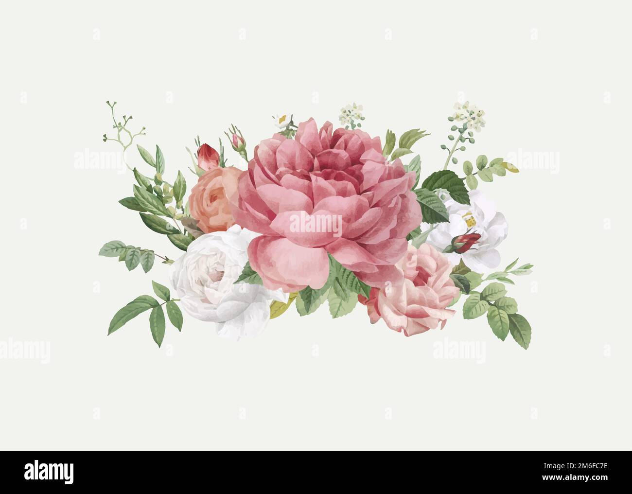 Vintage blooming roses design element vector Stock Vector Image & Art ...