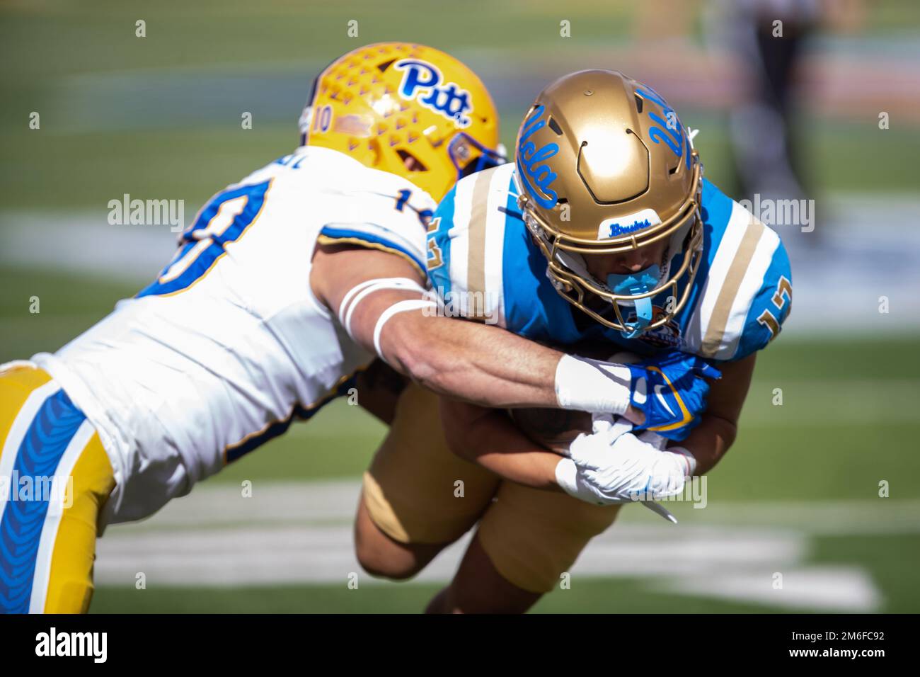 Logan loya hi-res stock photography and images - Alamy