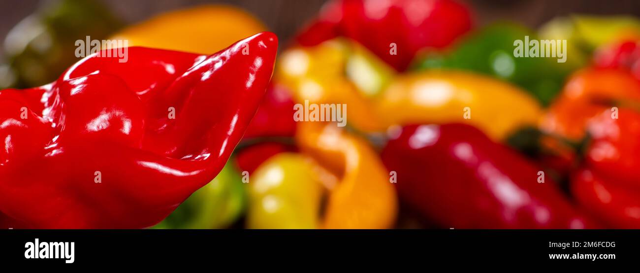 Banner pepper. colorful mix of the freshest and hottest chili peppers ...