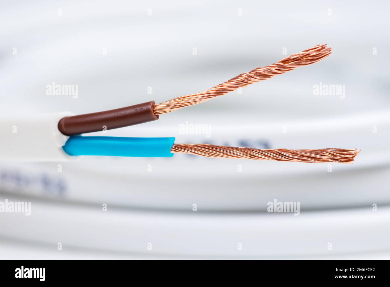 closeup of a electric cable on a white background Stock Photo - Alamy