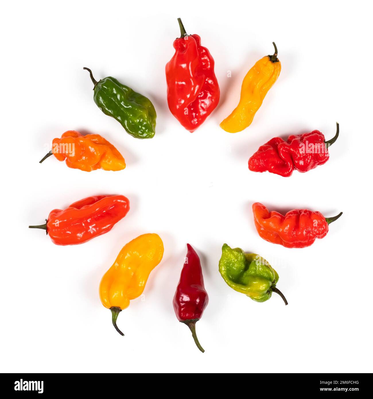 a colorful mix of the freshest and hottest chili peppers Stock Photo ...