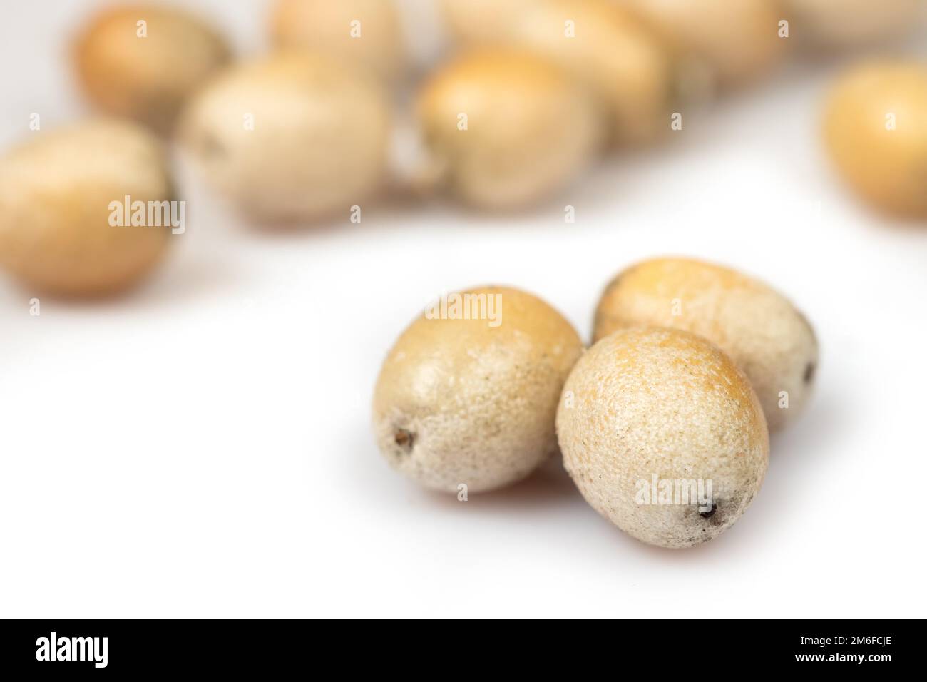 Elaeagnus angustifolia fruits on white background close up Stock Photo ...