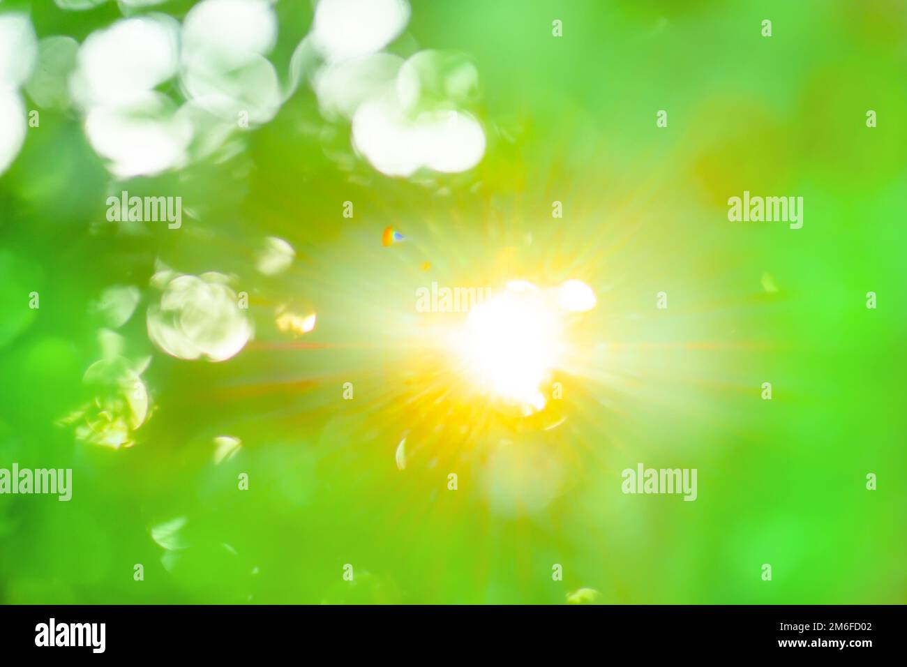 Bokeh green blurred universal background. Blur green defocused bokeh ...