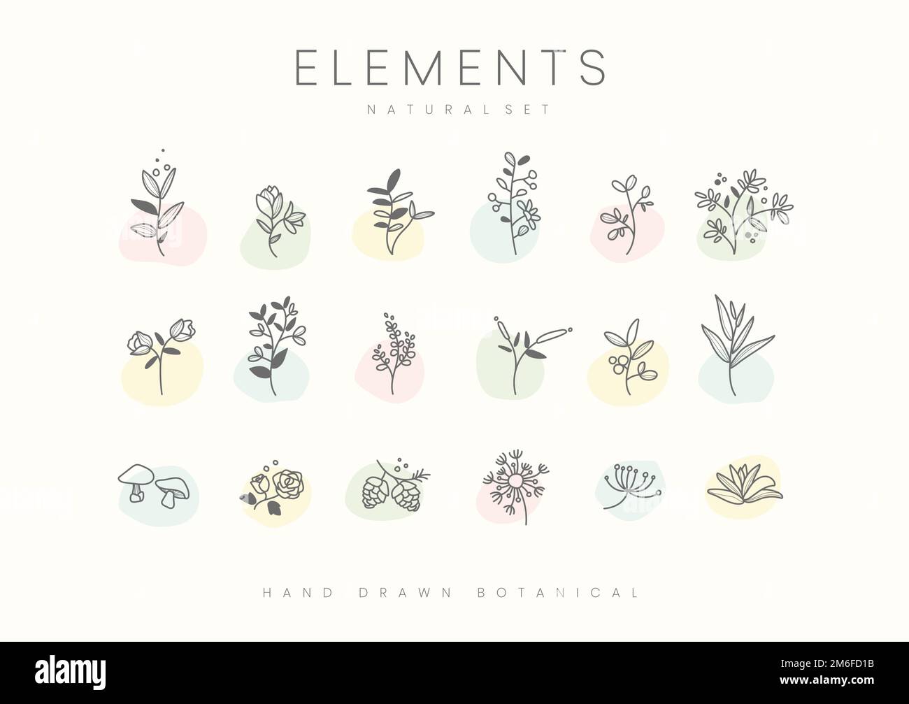 Set of hand drawn botanical elements vector Stock Vector Image & Art ...
