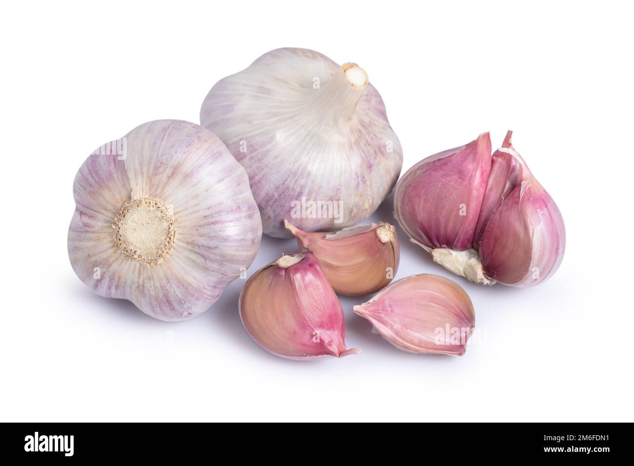 Isolated garlic. Raw whole garlic clove isolated on white background ...