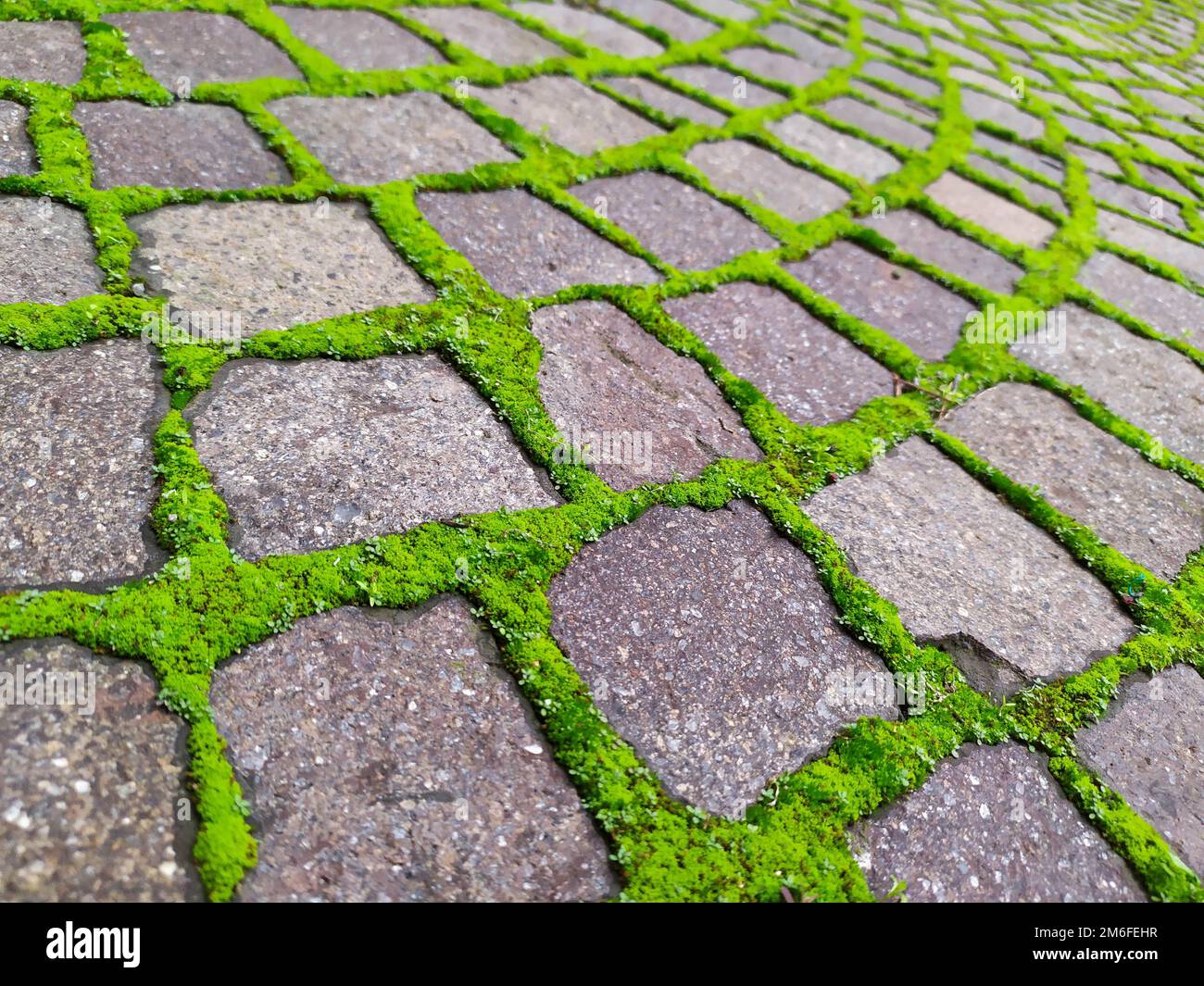 Traditional Italian brick ground view in rock Stock Photo - Alamy