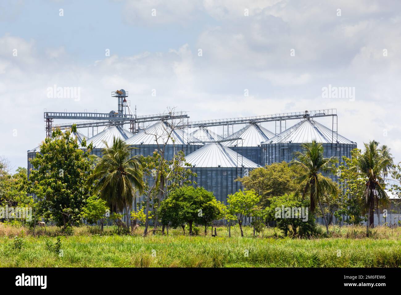 Panama David, farm commercial grain storage bins Stock Photo - Alamy