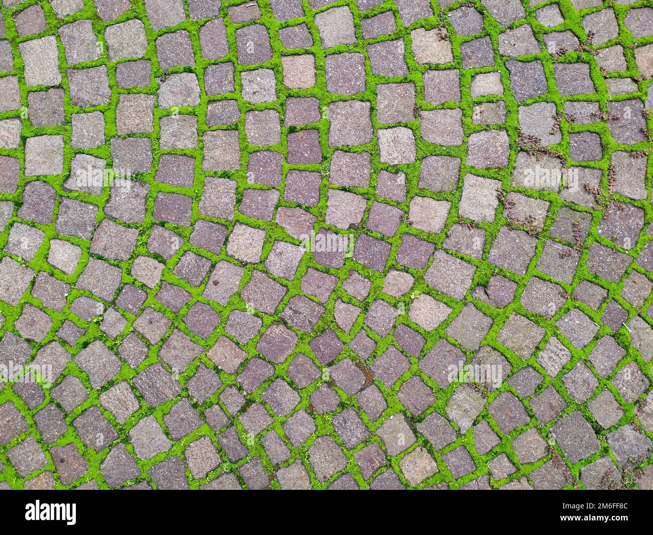 Traditional Italian brick ground view in rock Stock Photo - Alamy