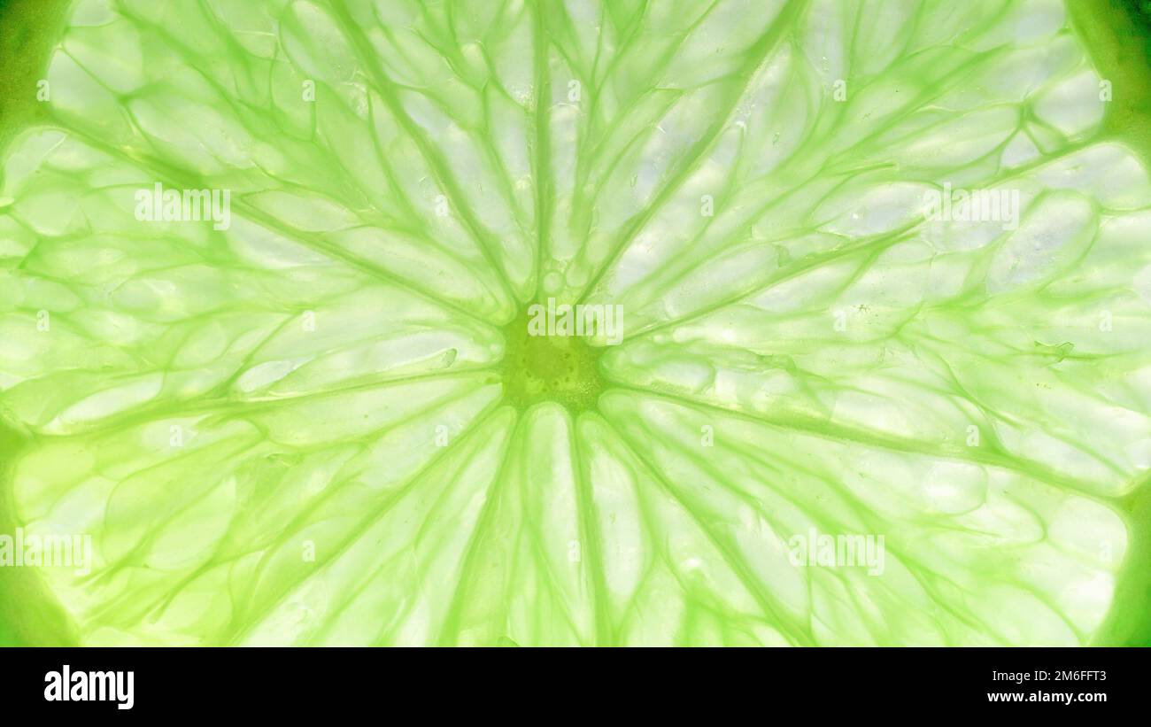 Lime slice texture Stock Photo - Alamy