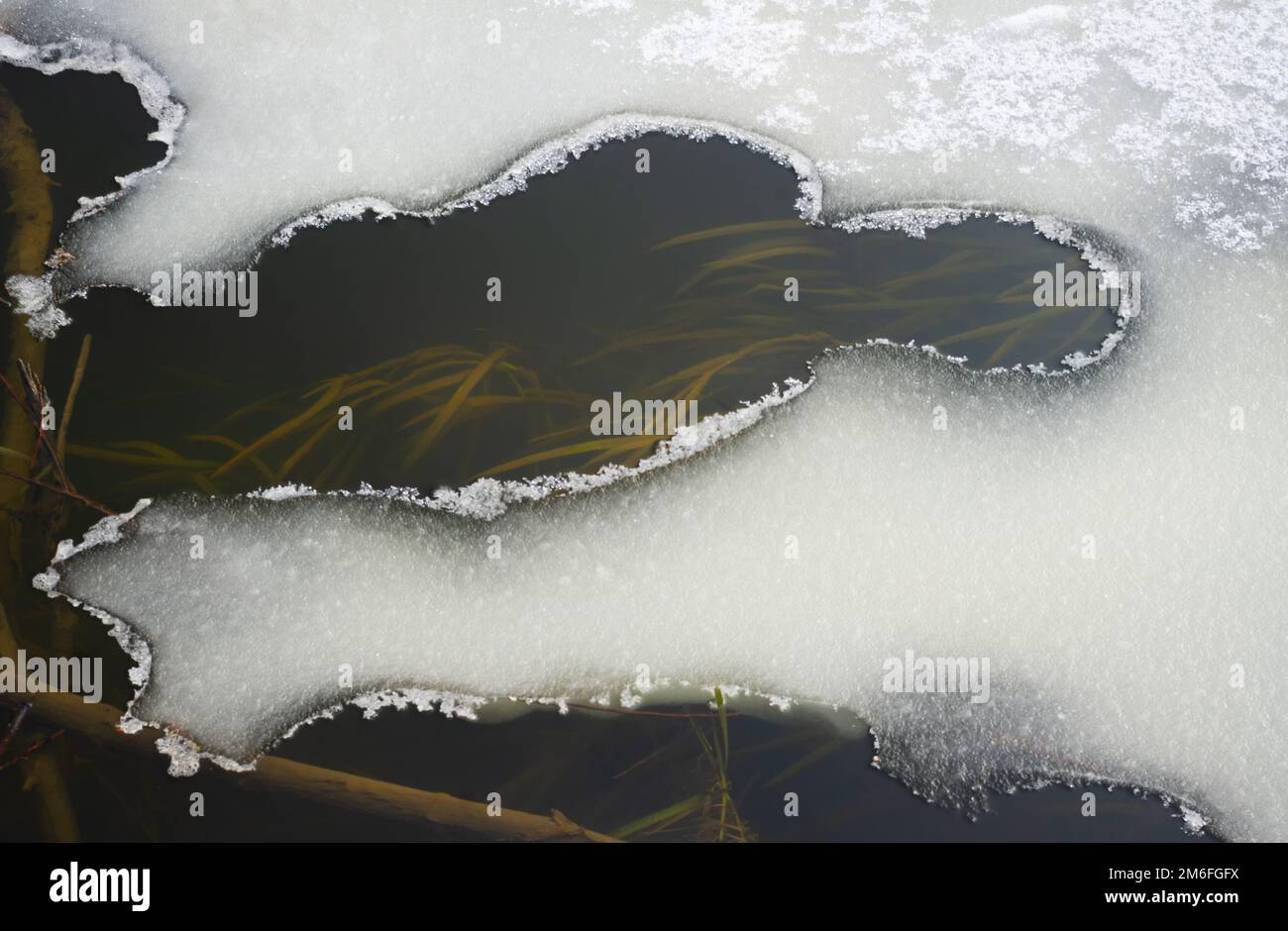 The holes in the ice through which are visible the algae Stock Photo ...