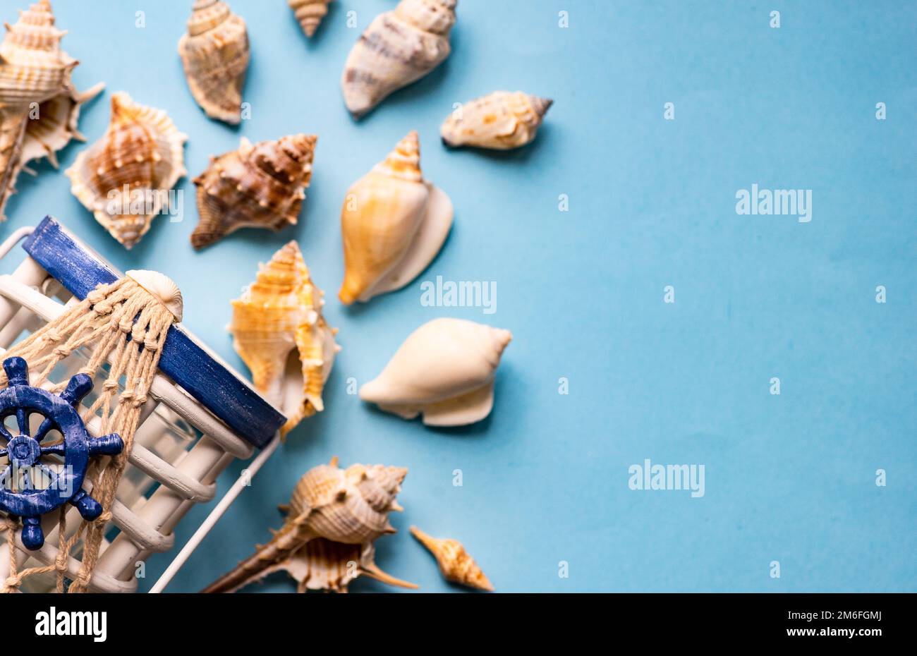 Summer background with sea shells Stock Photo - Alamy