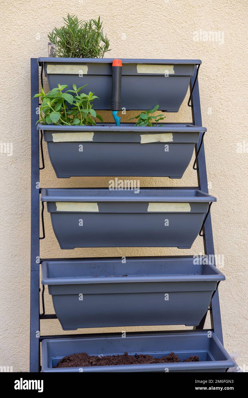 Vertical shot of small vertical garden, hobby Stock Photo - Alamy