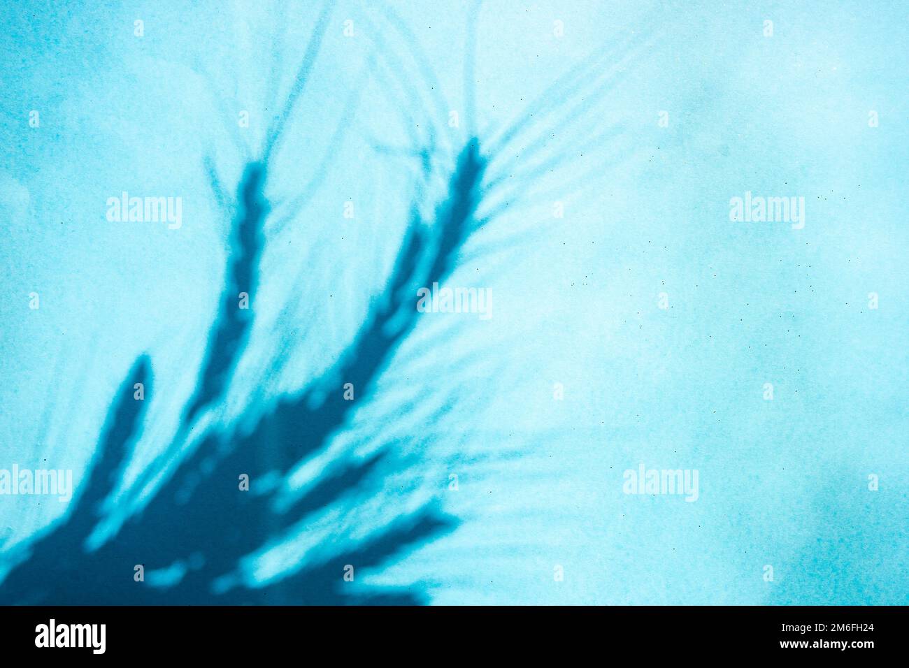 Summer background with shadows Stock Photo - Alamy