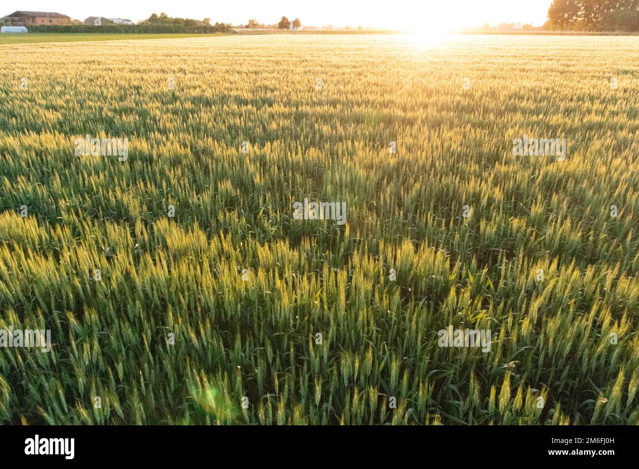 Italian field uniform hi-res stock photography and images - Alamy