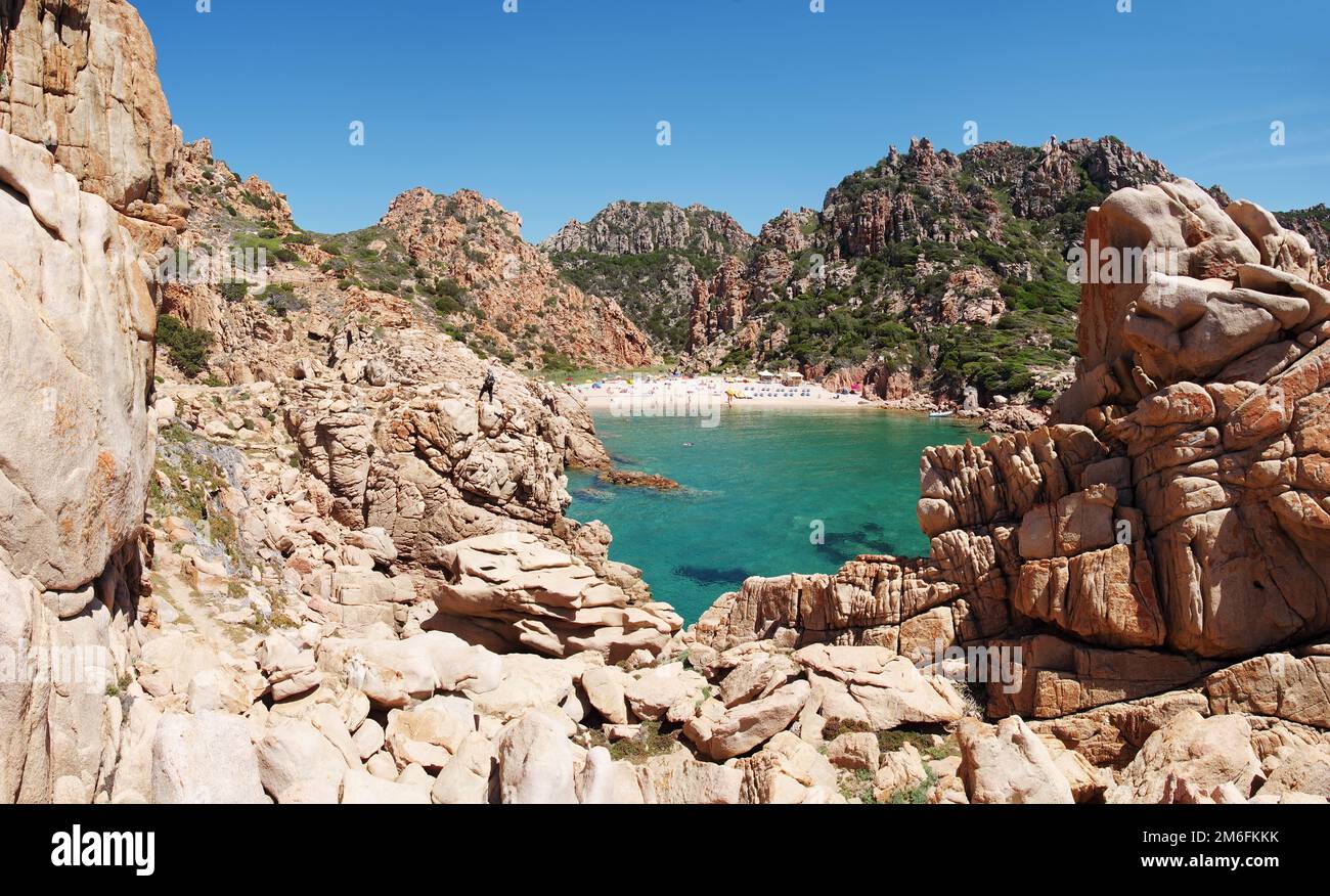 Li di hi-res stock photography and images - Alamy