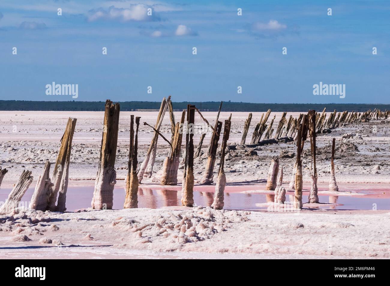 Salt lagoon,Dunaliella salina coloration, La Pampa, Argentina Stock ...