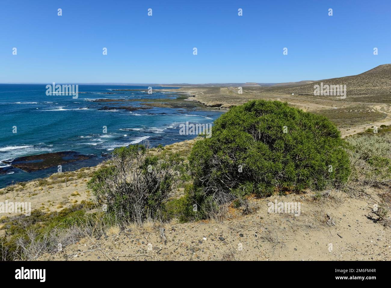 Caleta Valdes landescape, Peninsula Valdes chubut province Patagonia ...