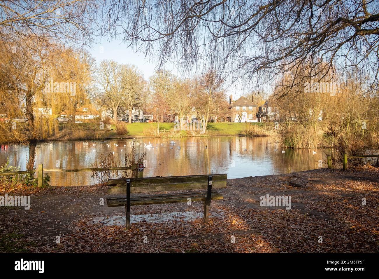 London- December 2022: Ham Common area of Richmond in South West London ...