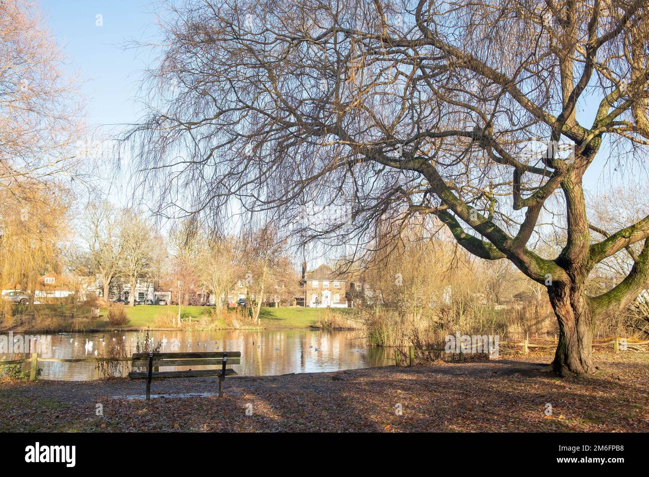 London- December 2022: Ham Common area of Richmond in South West London ...