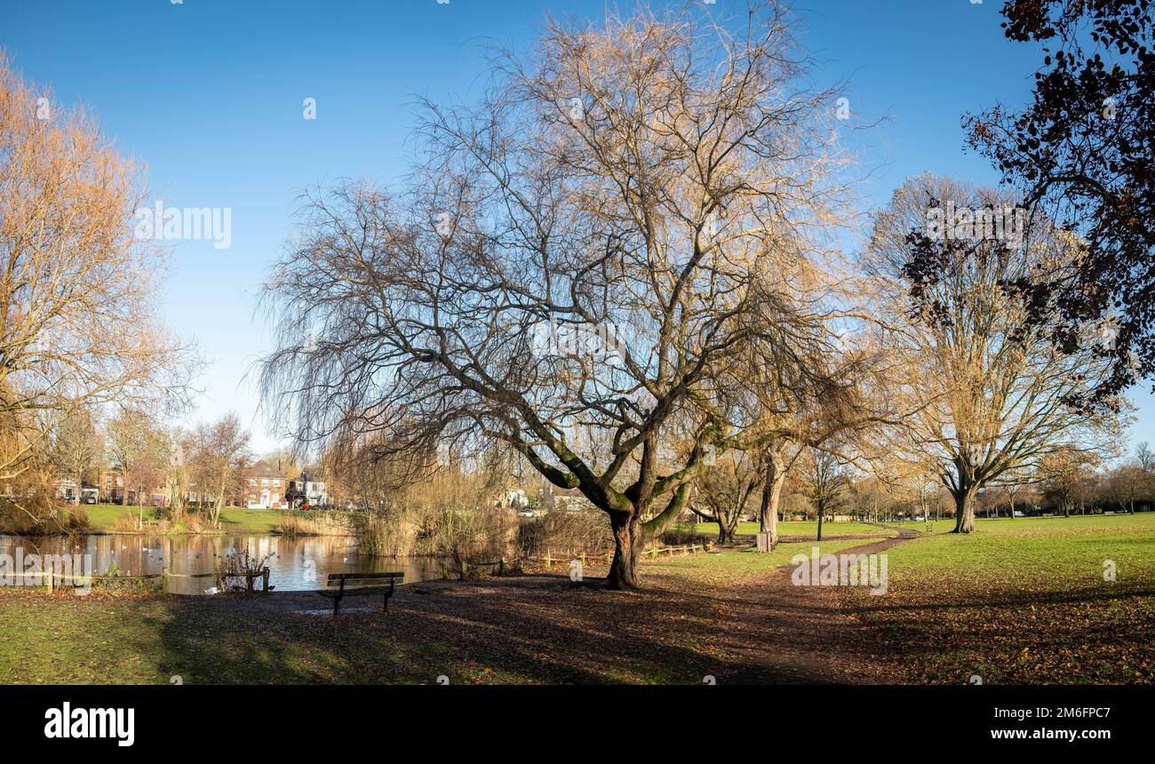 London- December 2022: Ham Common area of Richmond in South West London ...