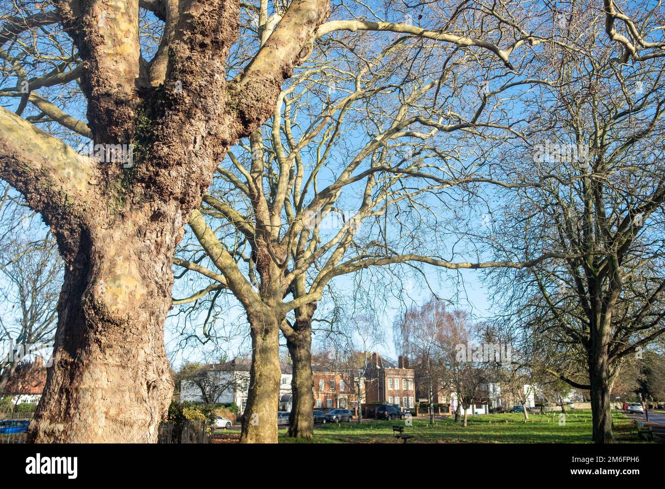 London- December 2022: Ham Common area of Richmond in South West London ...