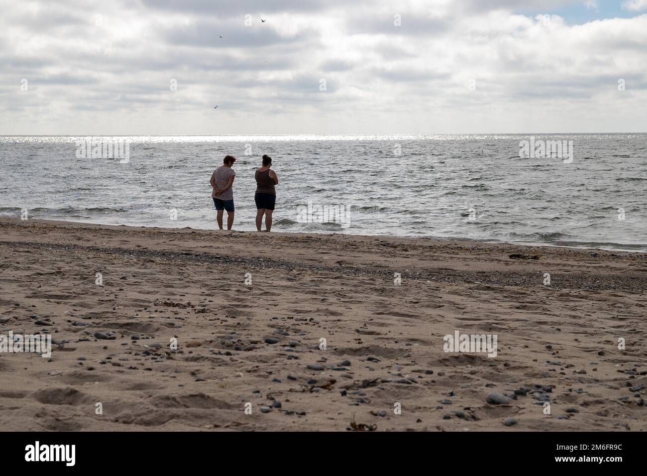 two women from behind lonely on the beach in front of the sea with ...