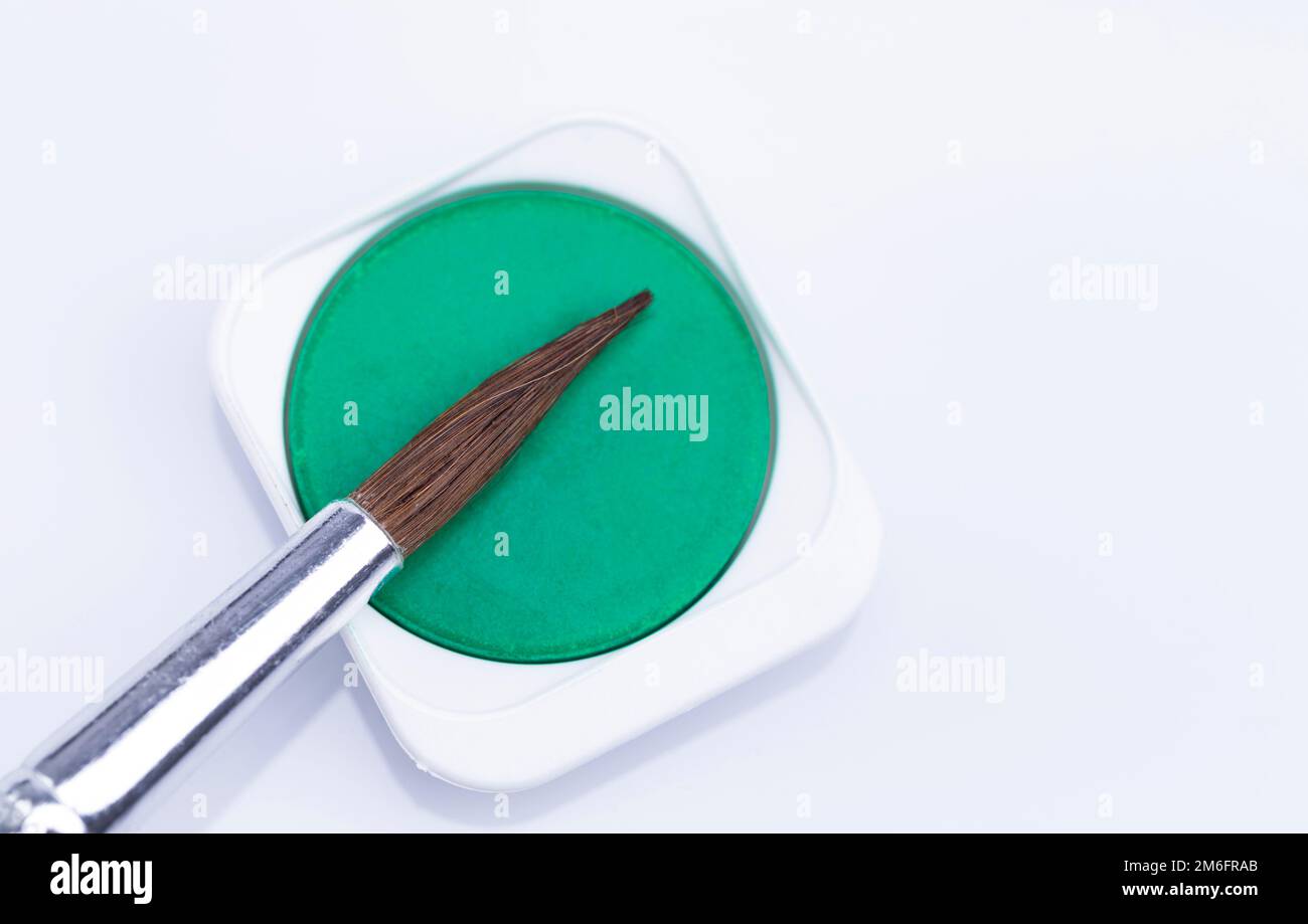 Green Water Paint with Brush Stock Photo - Alamy