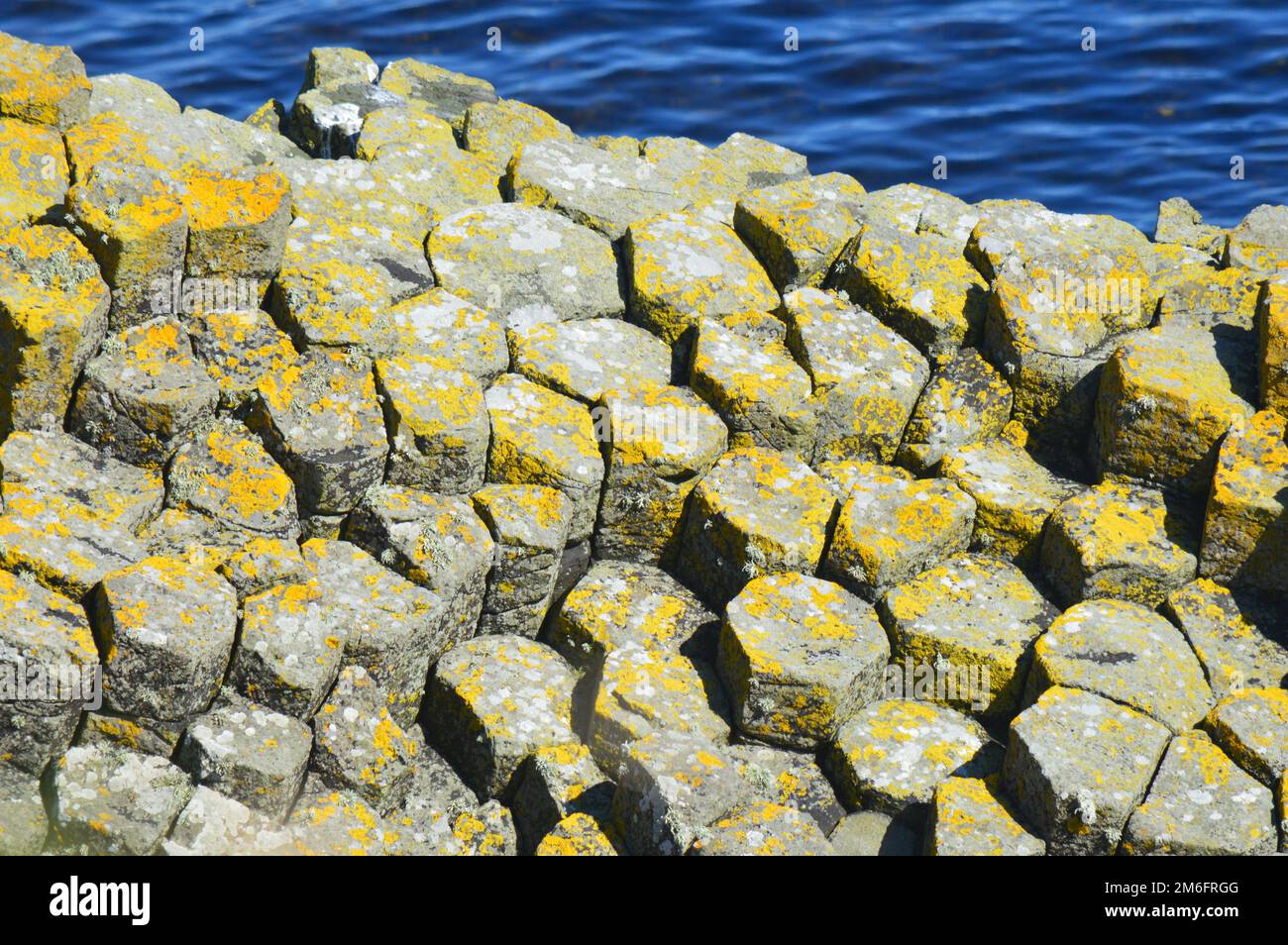 Hexagonal ancient rock formations covered in white and yellow lichen on ...