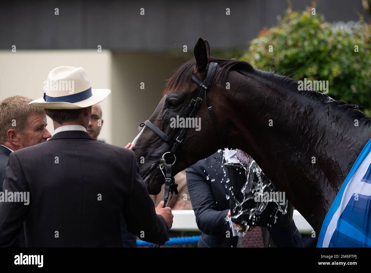 Maureen devlin hi-res stock photography and images - Alamy