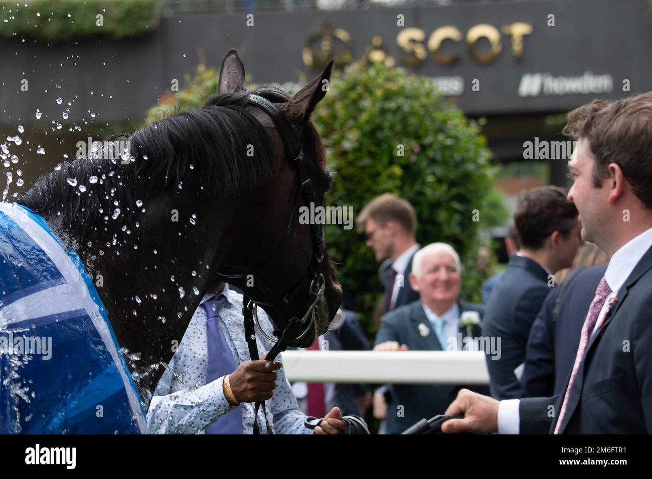 Maureen devlin hi-res stock photography and images - Alamy