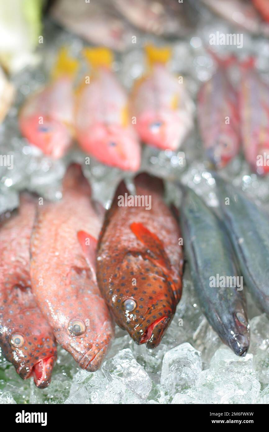 Whole fish on ice hi-res stock photography and images - Alamy