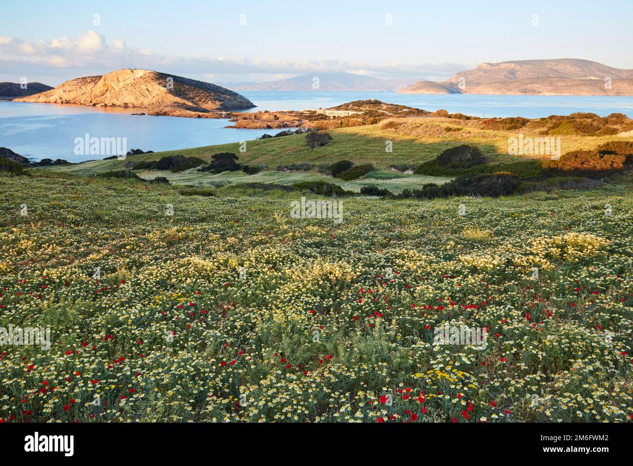 Spring bloom greece hi-res stock photography and images - Alamy
