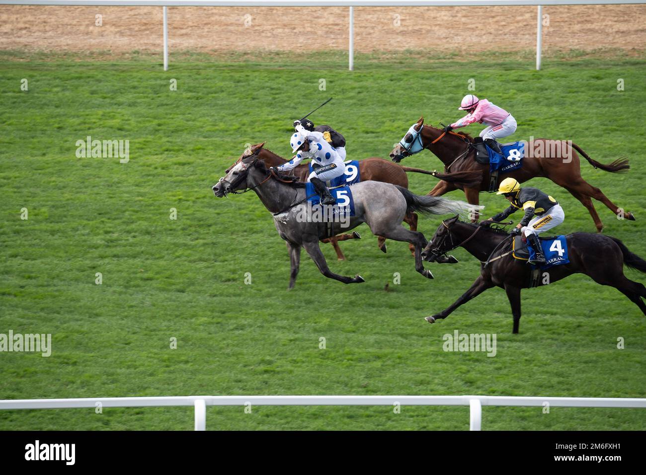 The garrard handicap stakes hi-res stock photography and images - Alamy