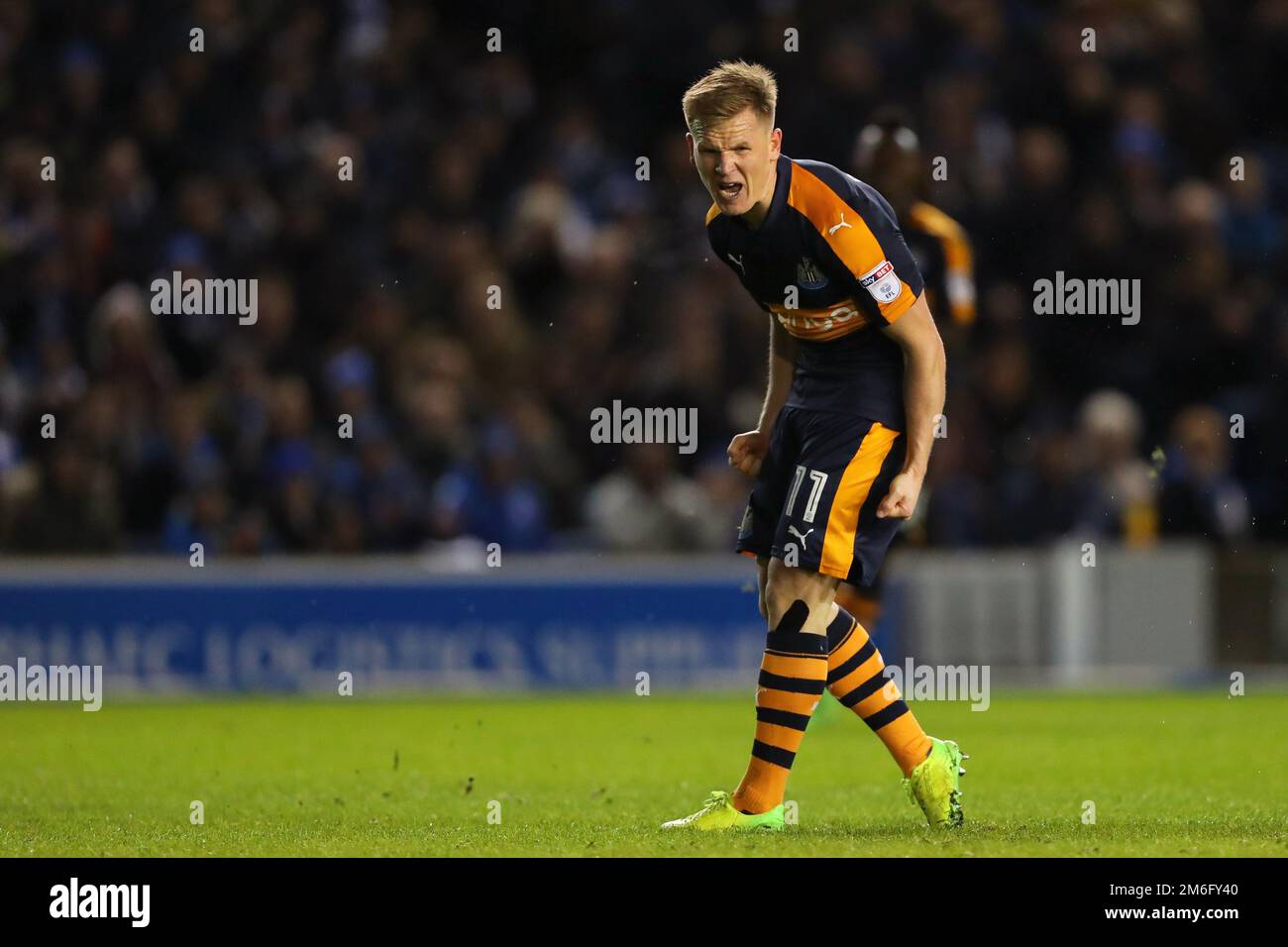 Matt Ritchie of Newcastle United - Brighton & Hove Albion v Newcastle ...