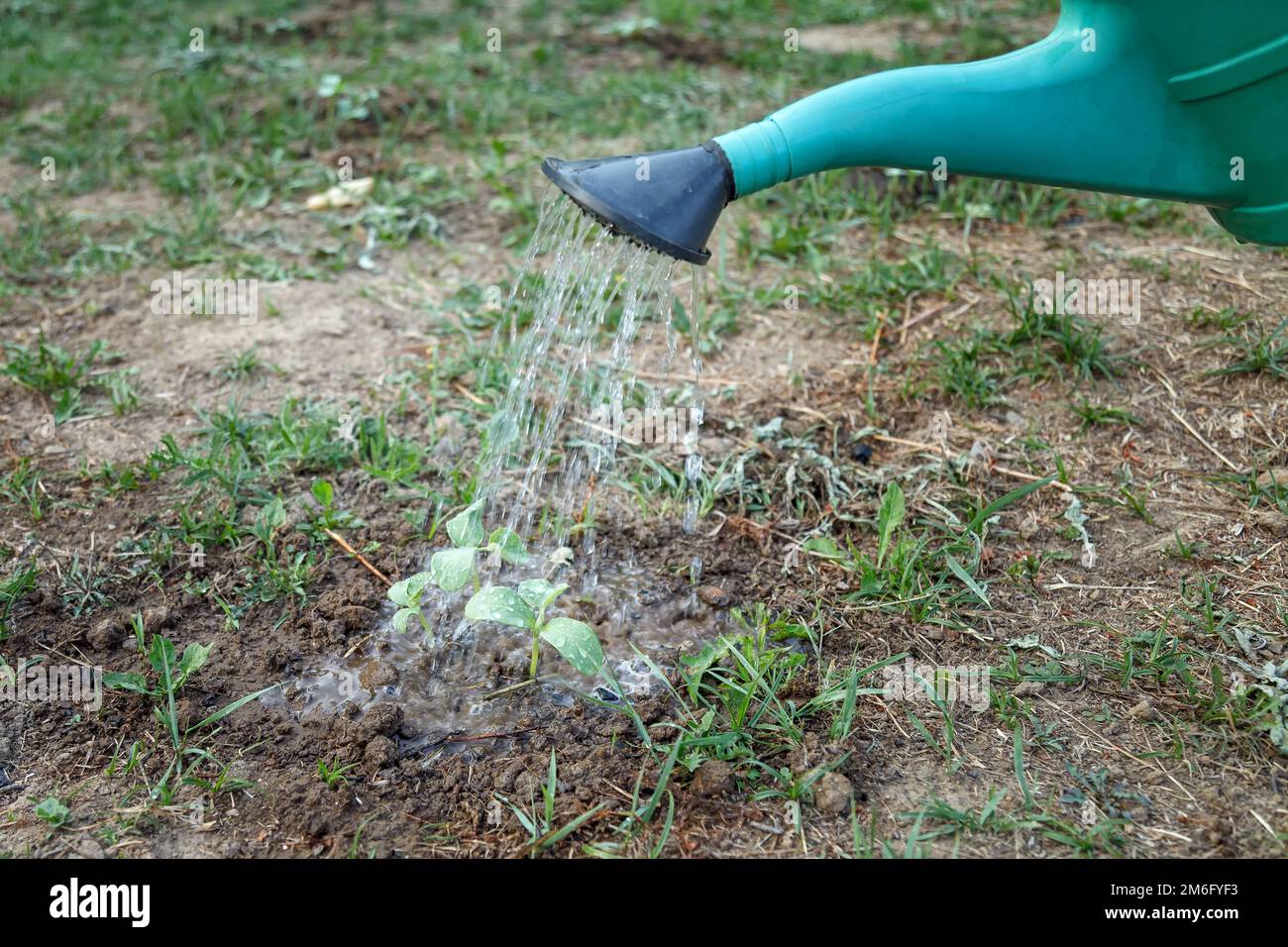 Spring seasonal irrigation with water and fertilizer, as well as ...