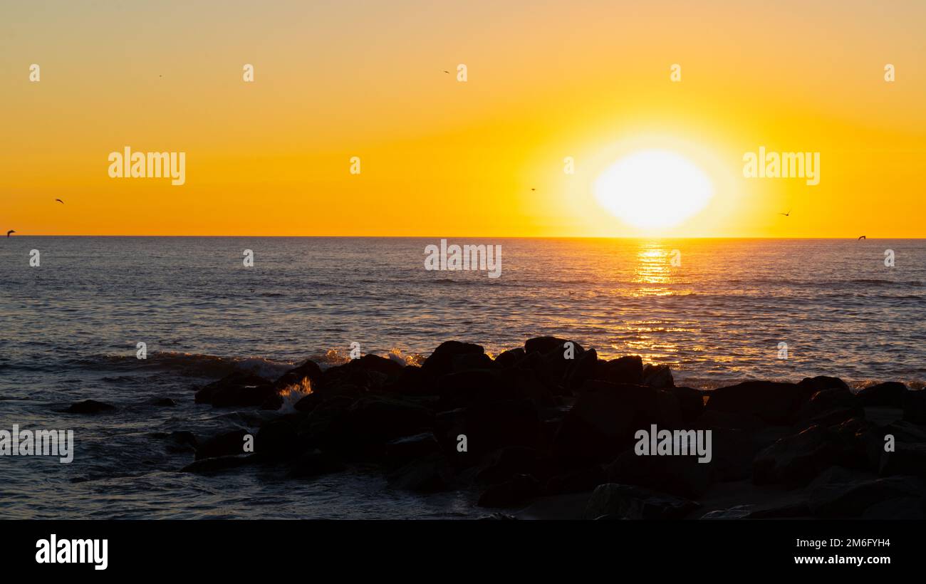 Sunset on the beach, Horizon by the sea, Rocks and birds. High quality ...