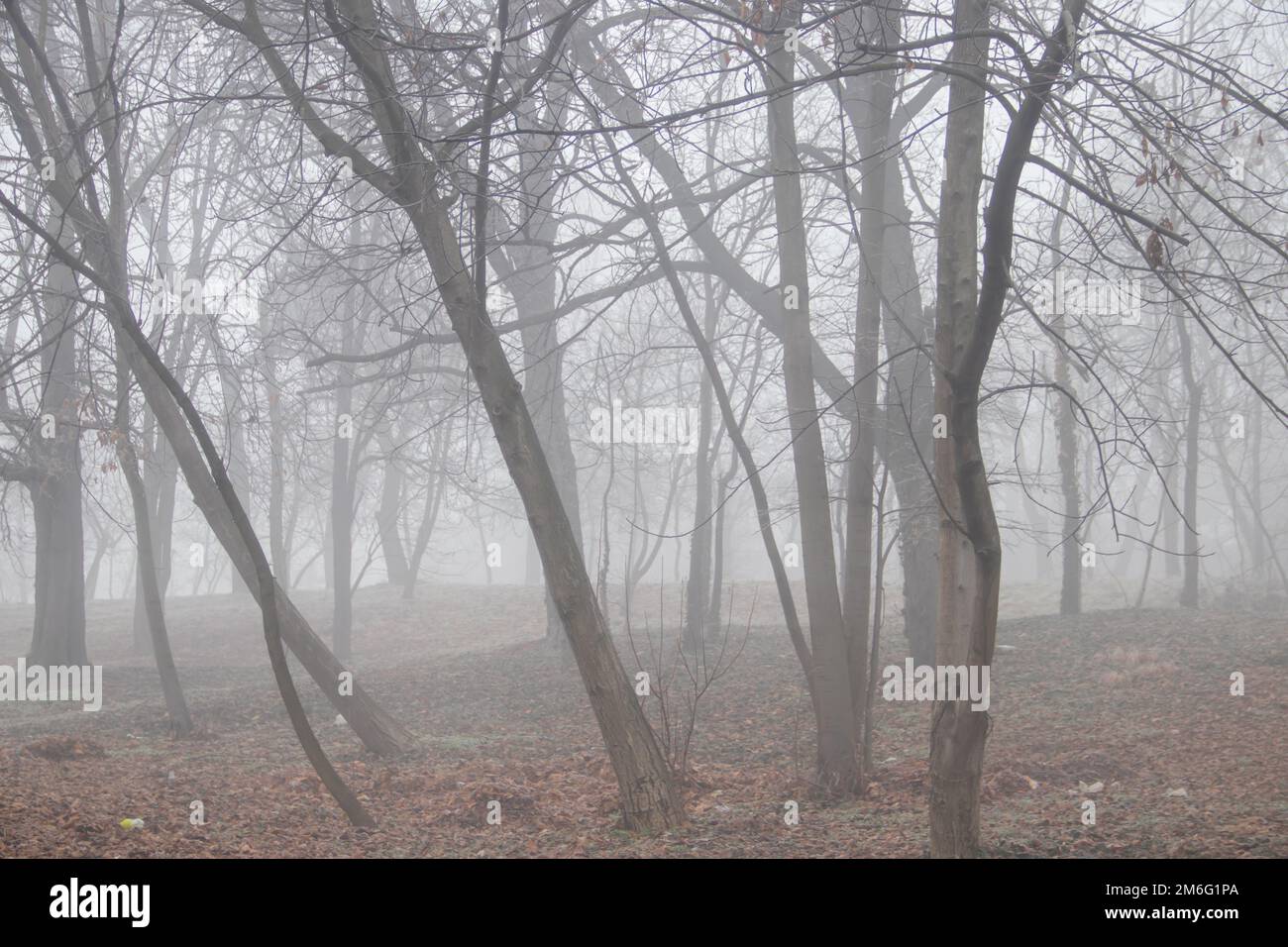 Visible air pollution at the streets of Belgrade, hazy foggy and ...