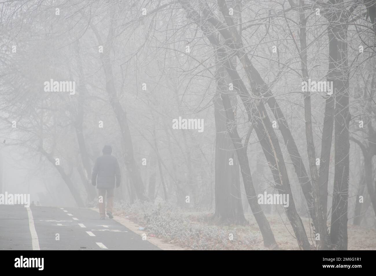 Visible air pollution at the streets of Belgrade, hazy foggy and ...