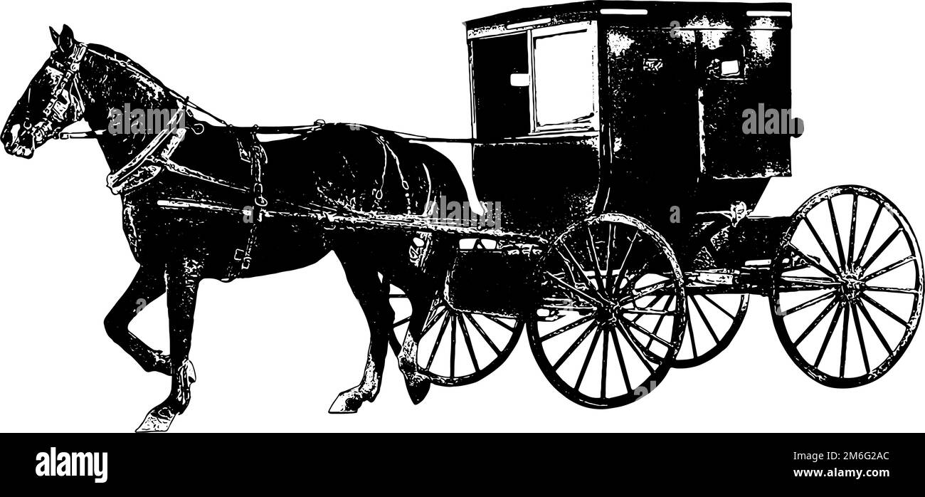 Buggy horse Cut Out Stock Images & Pictures - Alamy