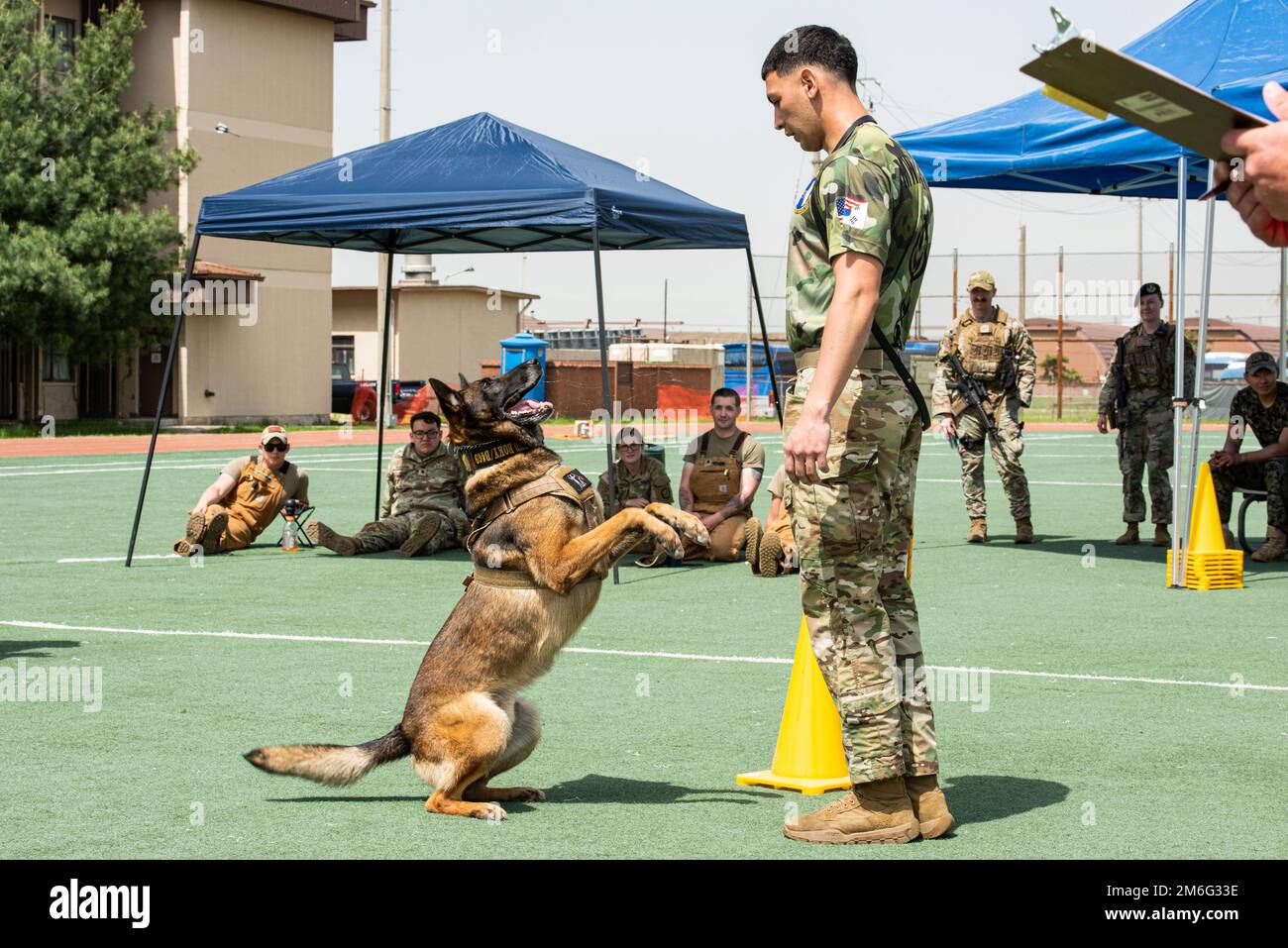 Military Working Dog Rocky celebrates with his handler, Senior Airman ...