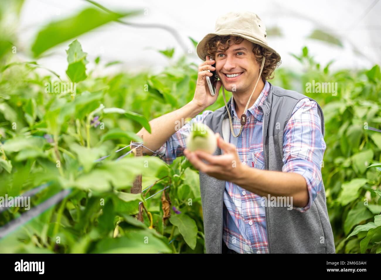 Pleased vegetable grower talking on the smartphone in the hothouse ...